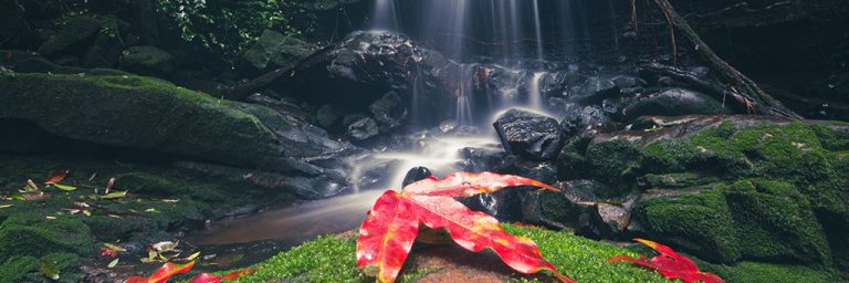 How Sustainability Is Shaping the Future of the Piercing Industry ...