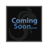 Wholesale Twister Rings Piercing & Body Spiral Jewelry