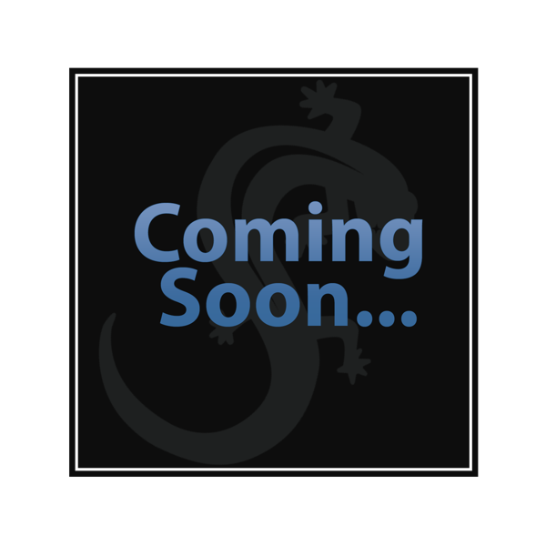 SURGICAL STEEL INTIMATE SHIELD WITH HOOP | INH-PART